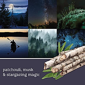 Yankee Candle MidSummer's Night® Signature Medium Pillar Candle, 14.25oz,Black