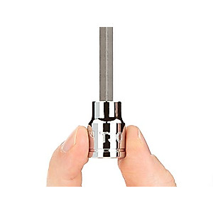 TEKTON 3/8 Inch Drive Long Torx Bit Socket Set, 12-Piece (T10-T60) | SHB91305