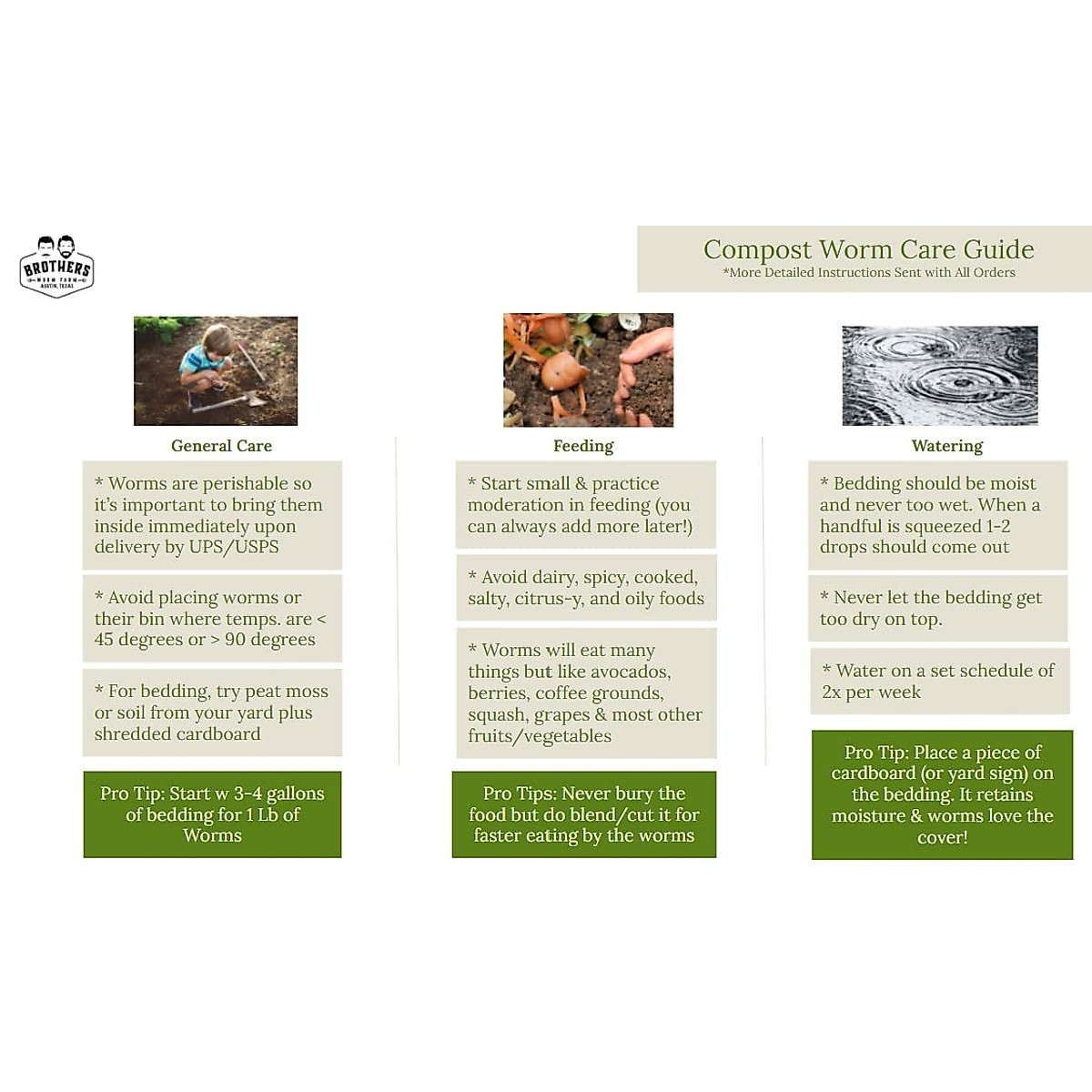 Brothers Worm Farm 1/2 Lb European Nightcrawlers Live Worms for Fishing & Composting (~150 Count). Larger Than Red Wigglers and Great Worms for Fishing, Composting, & Gardens