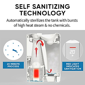 EVO WMH440 Self Sanitizing Pure Mist Humidifier (6L Capacity) – 28 Hour Continuous Run Time, Dishwasher Safe Base, Empty Tank Auto Shut-Off