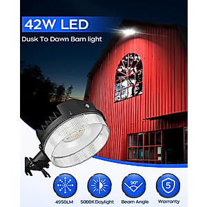 CINOTON 42W LED Barn Light Dusk to Dawn Outdoor Lighting, Black 1 Pack & 40W Outdoor LED Canopy Light 2Pack