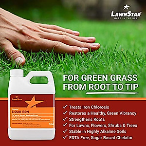 LawnStar Chelated Liquid Iron (32 OZ) for Plants - Multi-Purpose, Suitable for Lawn, Flowers, Shrubs, Trees - Treats Iron Deficiency, Root Damage & Color Distortion – EDTA-Free, American Made