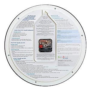 ertt Teaching Wall Clock - Learn The Time Wall Clock - Kids Analog Clock for Classroom, Playroom, Bedroom, Educational Room Decor - School Clock for Kids with Red Blue Face (35cm)