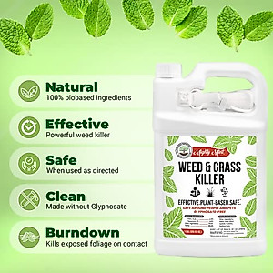 Weed & Grass Killer – Natural Vinegar Weed Killer – for Organic Use – 1 Gallon - Glyphosate Free - OMRI - Shake Well