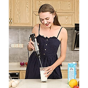 Amateys Handheld Immersion Blender,Infinitely Variable Speeds Hand Blender ,Multi-function Stainless Steel Handheld Stick Kitchen Blender with Whisk, Milk Frother，Detachable Smoothie Blender for Soup Puree Baby Food