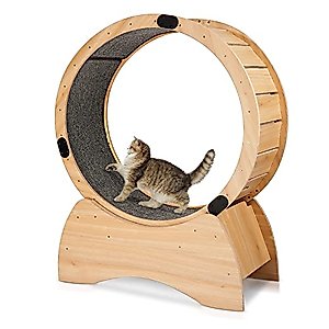 Hooseng Cat Exercise Wheel, Cat Treadmill with Carpeted Runway and Noiseless Roller, Cat Running Wheel for Pet Loss Weight and Daily Exercise