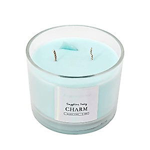 Impressive Natural Soy Lavender&Lemon Candles for Home Scented，Medium Jar Candles ，Candles Gift ，10.5oz 35Hour Burn Time 2-Wicks, Blue