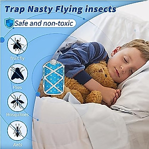 Aaronmichael Insect Trap Refill Kit, Attracting Trapping Insects Replacement Kit, Safe Non-Toxic Easy to use (4 Pack)