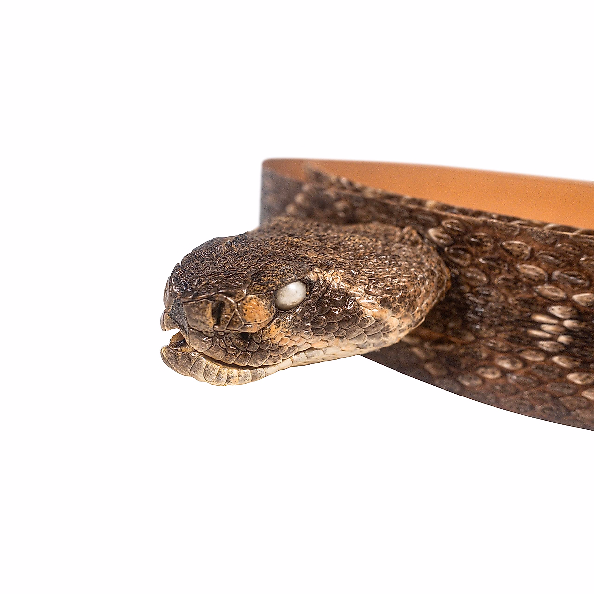 1.25" Real Texas Western Rattlesnake Hat Band with Head & Rattle - Closed Mouth (598-HB204C)