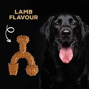 Tastybone Trio Bone Lamb, Large