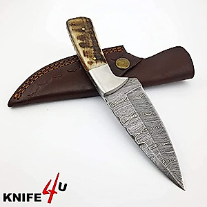 Knife4U Damascus Hunting Knife With Sheath|8"Best Camping,Hiking,Tactical,Survival Knife For Men|EDC Bushcraft Accessories Tool|Sharp Blade With Natural Handle And Knife Display Box (Rams Horn)