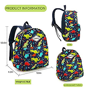 willikiva Cute Dinosaur Toddler Backpack for Boys and Girls Kids Children Preschool Bag Waterproof(Big Dinosaur)