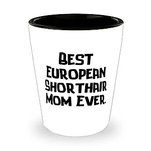 European Shorthair Cat, Best European Shorthair Mom Ever, Shot Glass For Cat Lovers From Friends