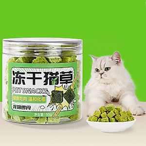 Bottone Keep Your Cat Happy and Healthy with Cat Grass Chewables Wheatgrass for Natural Hairball Excretion Wheatgrass 50g Cat Snacks Treats