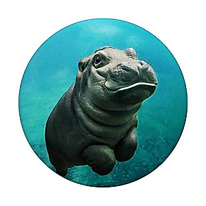 Baby Hippo Hippopotamus Exotic African Animal PopSockets PopGrip: Swappable Grip for Phones & Tablets