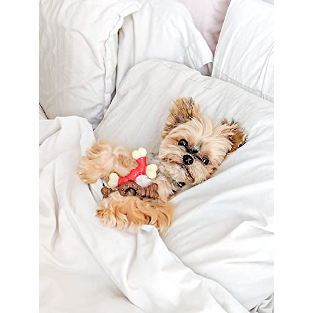 Nylabone Power Chew Double Bone Long Lasting Chew Toy for Dogs X-Small - Up to 15 lbs.