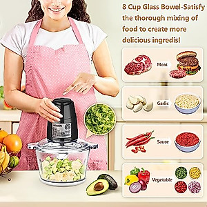 AOSION Electric Food Processor,8 Cup food Chopper,Vegetable Chopper & Meat grinder 350W with 2L Glass Bowl Grinder with 2 Speed for Baby Food/Meat/Fruits/Nuts.