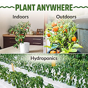 Rooted Acre 8 Varieties Pepper Seeds - Non GMO, USA, Heirloom Hot Pepper Seeds inc Ghost and Jalapeno - High Germinating Pepper Seeds for Planting Home Garden: Serrano, California Wonder, and More