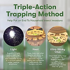 BugMD Termination Station Pest Trapper - Flea Trap with Light and Refills, Sticky Trap for Ants, Cockroaches, Tick and Flea, Bug Catcher, Roach Trap