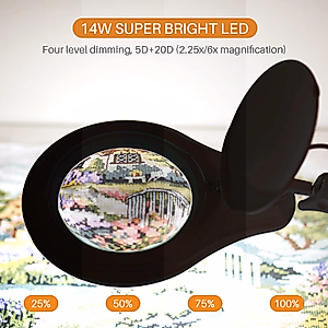 Bemelux Bifocals LED Magnifying Lamp with Clamp, 5 Diopter with 20 Diopter, 5 Inch Magnifier Glass Lens, 1200 Lumens Dimmable Magnifier Lamp for Desk Craft Hobby with 60PCS Bright LEDs