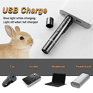 Bunny Rabbits Pointer Toy,Guinea Laser Pointer,7 Adjustable Patterns Laser,Cat Toy Pointer for Indoor, 5 Switchable Patterns,Red Light Hamsters Rats Pointer Toy,USB Charging Pointer Toy