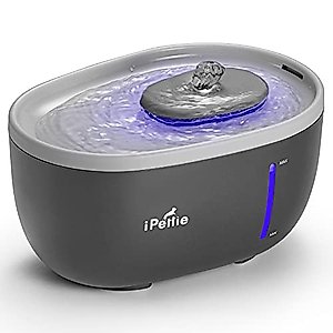 iPettie Avocado Pet Water Fountain with LED Light, 67oz/2.0L, Ultra Quiet Cat Water Fountain with Filter, Automatic Pet Water Fountain for Cats and Small Dogs, Grey