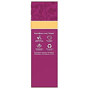 Burt's Bees Sunscreen Moisturizer for Face, SPF 30 Retinol Alternative Facial Lotion for Anti-Aging Skincare & Daytime Protection,1.8 Ounce (Packaging May Vary)