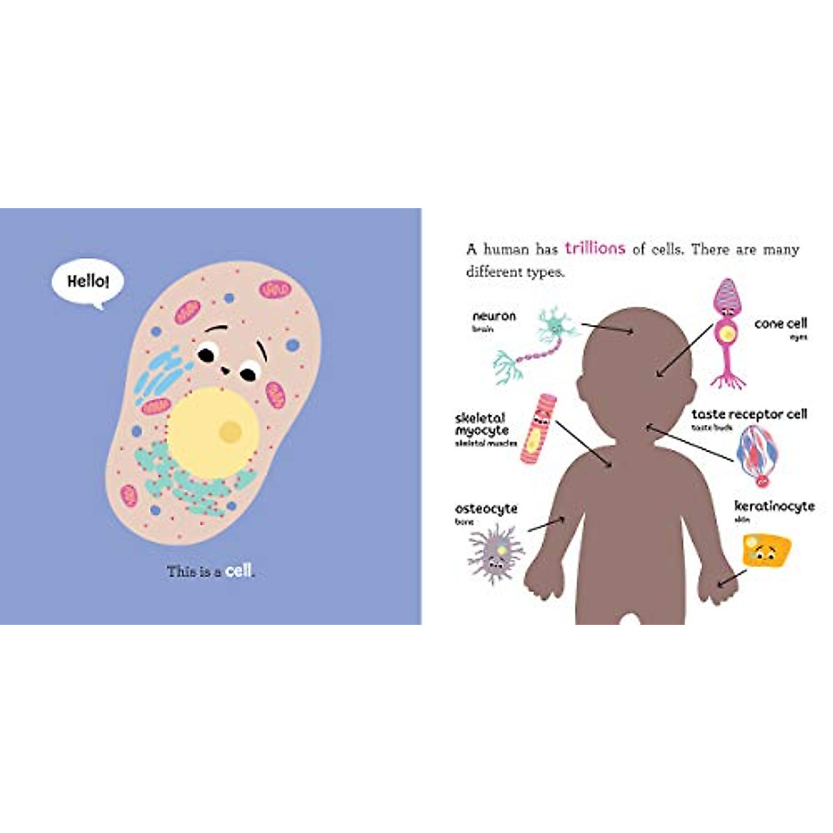 Baby Biochemist: DNA: Discover the Amazing Science Behind Your Body's Molecular Instructions! (Human Body Books, Science Gifts, Medical Books for Kids) (Baby University)