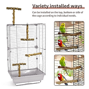 HPAWHOMEPART Bird Perches, 6pcs Natural Wood Birds Stand Branch, Bird Perch Chewing Stick Cage Accessories Parrot Climbing Standing Branches Paw Grinding Fork Sets for Parakeet Lovebirds Cockatiels