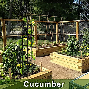 WellSign Garden Obelisk Trellis for Climbing Plants Outdoor, 6ft Tall Rustproof Coated Metal Plant Support with Garden Twist Tie (1 PK)