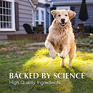 Nutramax Crananidin Cranberry Extract Urinary Tract Health Supplement for Dogs, 75 Chewable Tablets