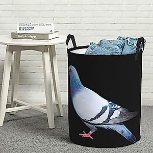 Pigeon Laundry Basket Protable Circular Laundry Hamper Storage Bin Organizer With Handles For Bathroom,Bedroom Clothes