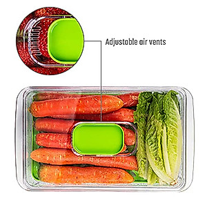 Goodful Produce Keeper, Adjustable Air Vents, Removable Insert/Colander, Durable Food Safe Material, Stackable, Clear and Green, Flat, 11.6" x 6.8" x 2.8"