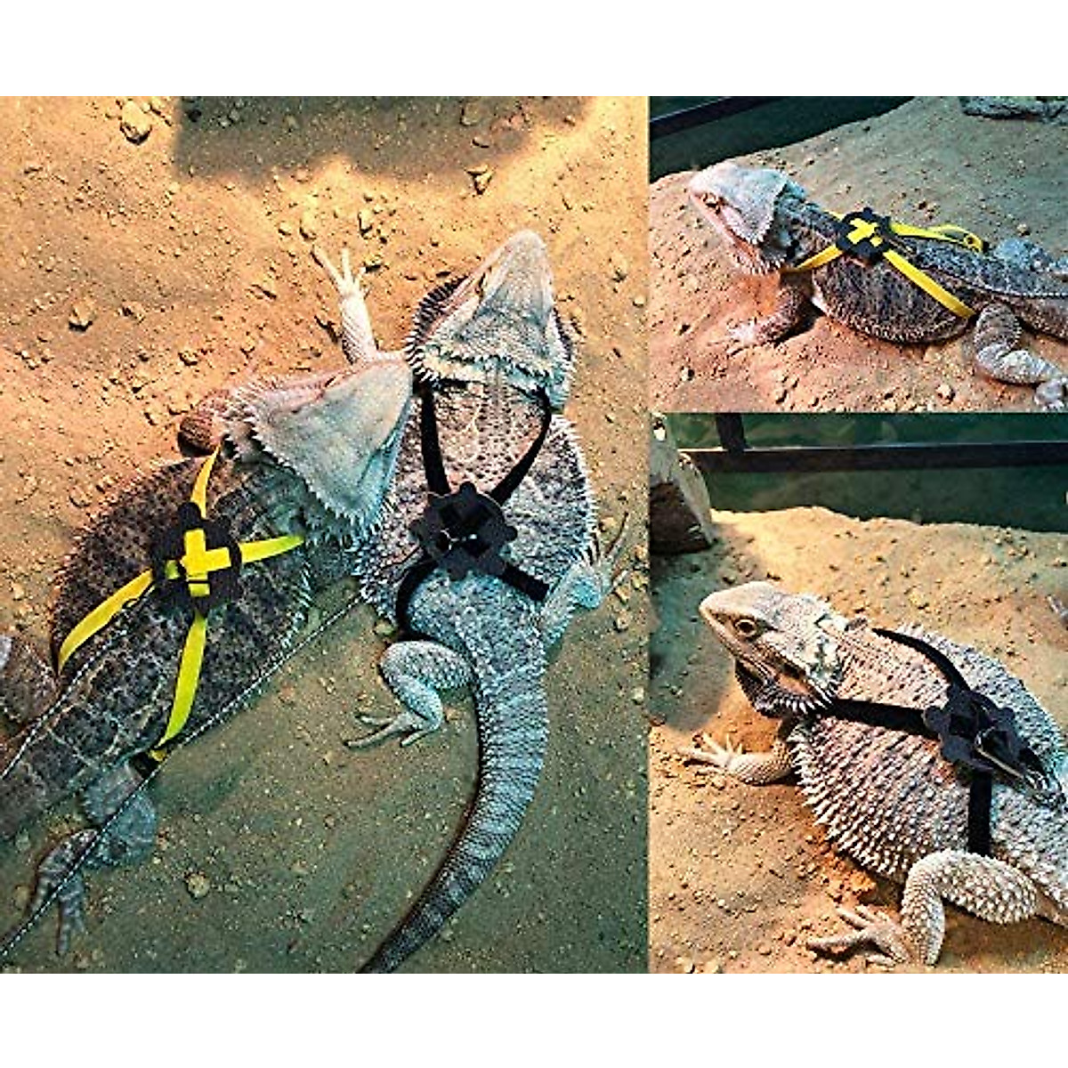 Lizard Leash Bearded Dragon Harness Adjustable Reptile Lizard Harness Leash Parrot Harness Turtle Lizard, Suitable for Gecko Hamster Kitten Small Animal Outdoor Walking - Black