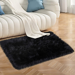 ORINOVA Black Faux Sheepskin Washable Fluffy Fur Area Rugs for Bedroom Small Fuzzy Carpet for Living Room 2x3 Boho Nursery Rug