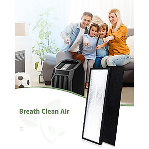 2-Pack Replacement Filter