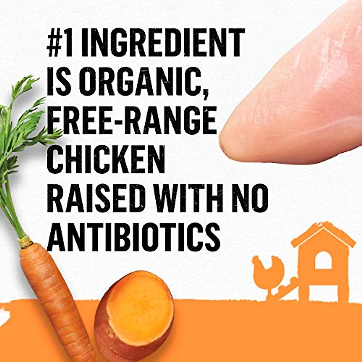 Beyond Purina Organic Pate Wet Cat Food Variety Pack, Organic Chicken Adult Recipes