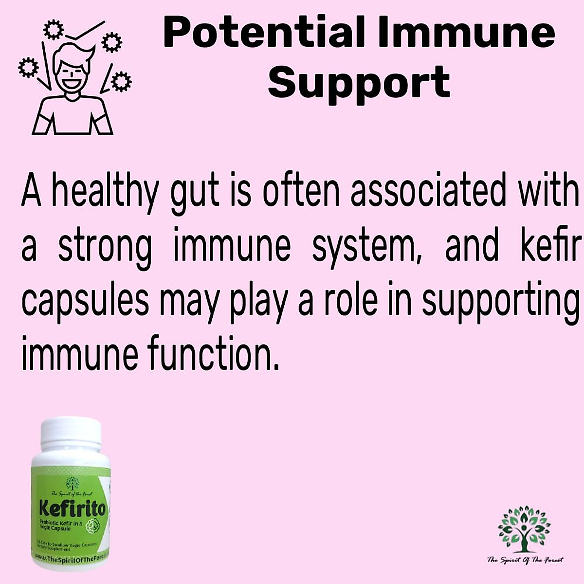 Kefirito 60 Veggie Capsules, 50 Billion CFU, 7 Probiotic Strains Kefiran, 582 mg Natural Active Probiotic, Supports Healthy Digestion, Gluten-Free, Lactosa-Free The Spirit Of The Forest 1 Month Supply