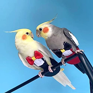 Bird Diaper Harness Flight Suit Clothes with Flying Leash for Parrots Cockatiel Pet Birds, Parrot Clothes, Bird Training Nappy Suit Liners Clothes (L, Black)