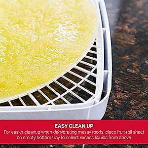 Nesco SLD-2-6 American Harvest 13.75" Fruit Roll Sheet for NESCO Food Dehydrators, 2 Count, White
