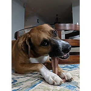 SPOT Bam-Bones Plus T Bone - Bamboo Fiber & Nylon, Durable Long Lasting Dog Chew for Aggressive Chewers – Toy for Dogs & Puppies Under 90lbs, Non-Splintering, 7in, Allergen Free Peanut Butter Flavor