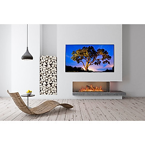 LG OLED77G1PUA G1 77 inch Class with Gallery Design 4K Smart OLED evo TV w/AI ThinQ Bundle w/ 1 Free Additional Year Extended Warranty Authorized Dealer