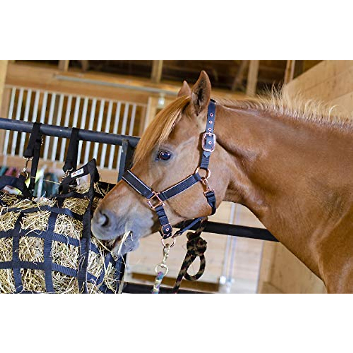 Derby Originals Easy Feeder Horse Hay Bag with Super Tough Bottom and 1 Year Warranty