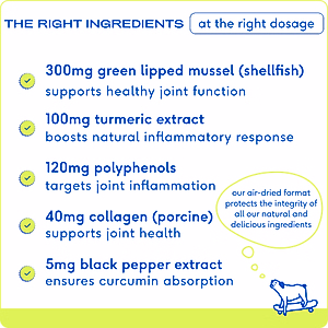 Native Pet Relief - Anti Inflammatory for Dogs - Turmeric, Polyphenols, Green Lipped Mussels for Dogs - Dog Aspirin Alternative - Dog Arthritis Supplement & Dog Joint Pain Relief - 60 Dog Relief Chews