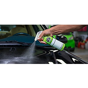 Chemical Guys ACC150 Secondary Container Dilution Bottle with Natural Sprayer, 16 oz., 1 Pack