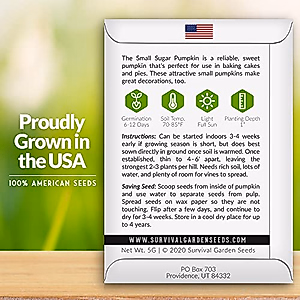Survival Garden Seeds - Small Sugar Pumpkin Seed for Planting - Packet with Instructions to Plant and Grow Pie Pumpkins in Your Home Vegetable Garden - Non-GMO Heirloom Variety