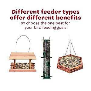 Kaytee Wild Bird Nut & Fruit Seed Treat Bell