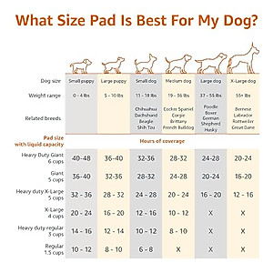 Amazon Basics Dog and Puppy Pee Pads with 5-Layer Leak-Proof Design and Quick-Dry Surface for Potty Training, Standard Absorbency, Regular Size, 22 x 22 Inch - Pack of 50, Blue & White