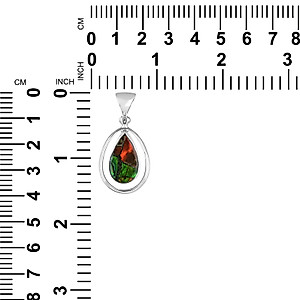 Starborn Ammolite Sterling Silver Pendant