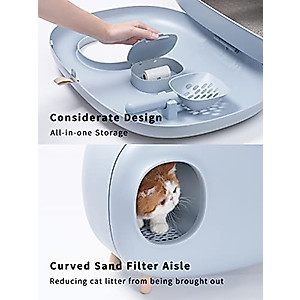 MS!MAKE SURE Cat Litter Box (with Litter Mat), Enclosed Design, Large Space Litter Box with Lid, Prevent Sand Leakage and Isolate Odors, Easy to Clean, with Cat Litter Scoop - Gray Blue